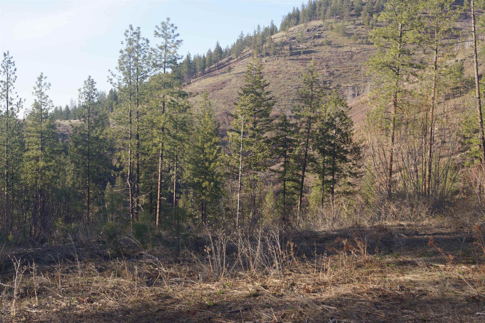 MLS#202511953: Nka Coyote Canyon Rd, Fruitland, WA 99129