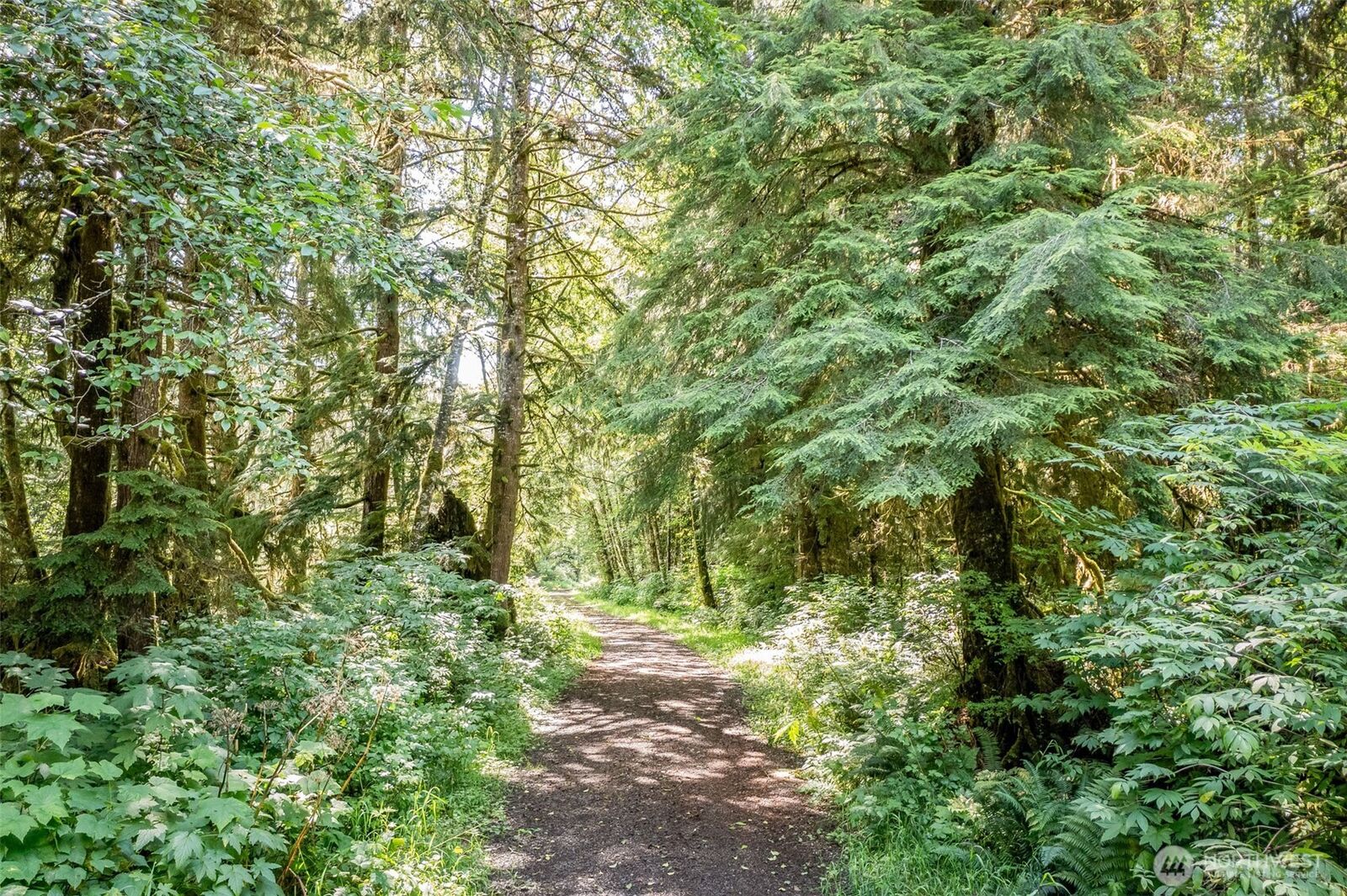 MLS#2368114: 1 Swamp Rd, Sekiu, WA 98381