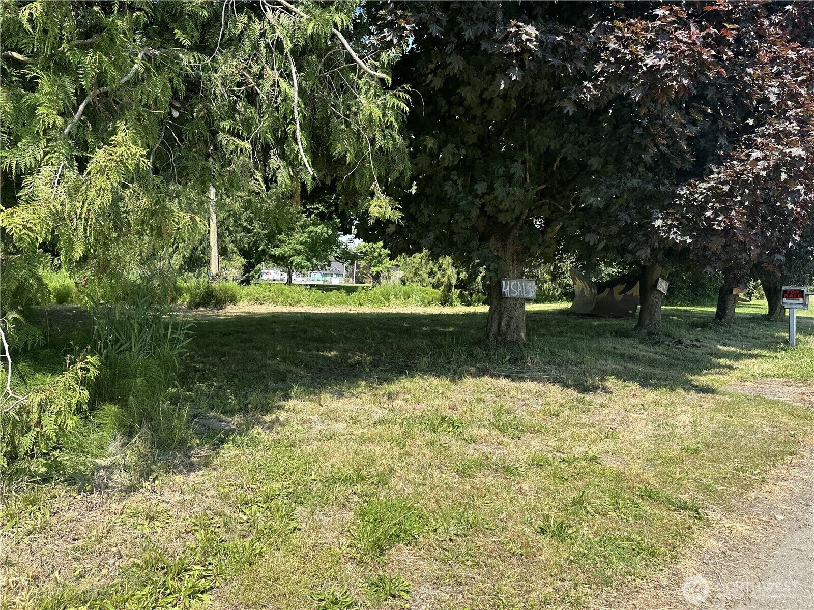 MLS#2387044: 124 Columbia Street, Sumas, WA 98295